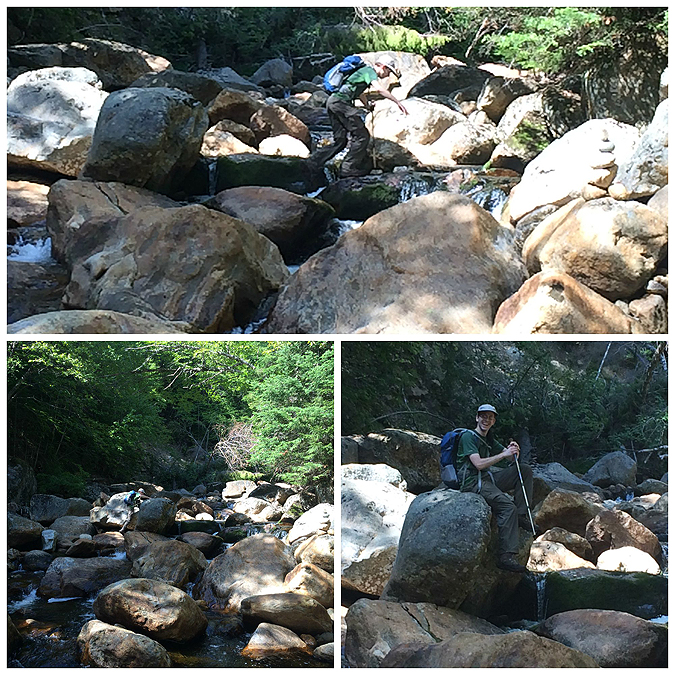 Hiking in the White Mountains: In and Out of the Dry River Wilderness ...
