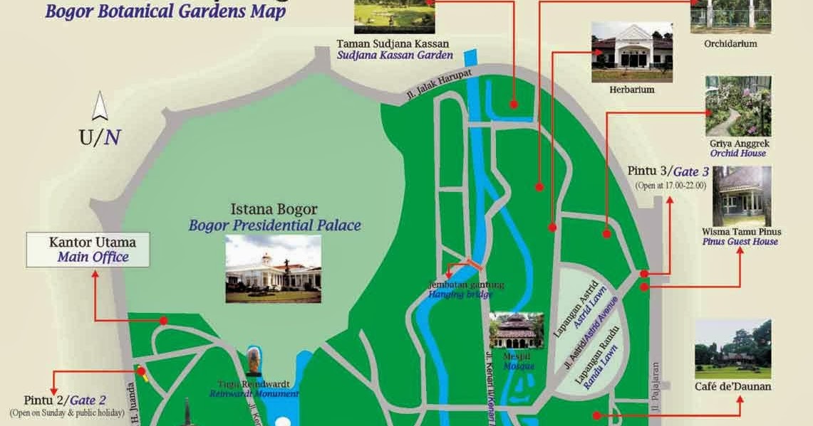 Bogor Botanical Garden Map - Flower Garden Ideas