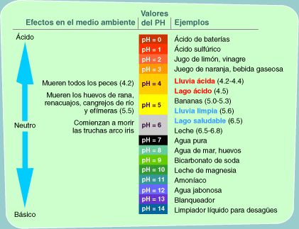 Ortomolecular Force: EL PH DE LOS ALIMENTOS Y LA SALUD