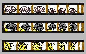 Bees, Birds & Butterflies: Mason Bee Life Cycle
