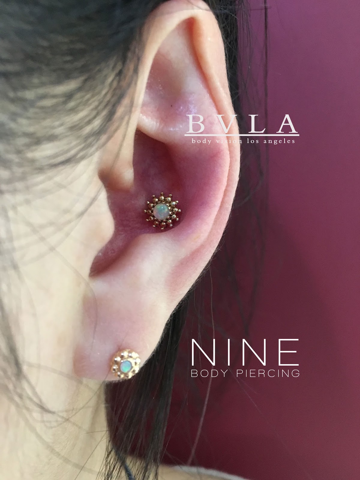 NINE BODY PIERCING BLOG: BVLA The Rose