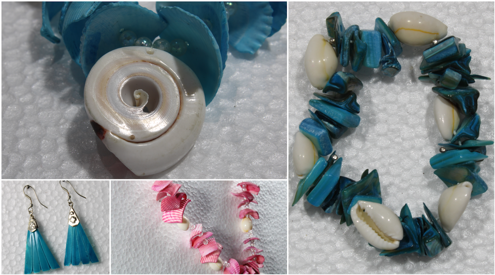 From Fascination To Dedication - The Triumphant Saga Of A Seashell ...