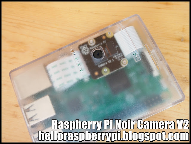Raspberry Pi NoIR Camera V2