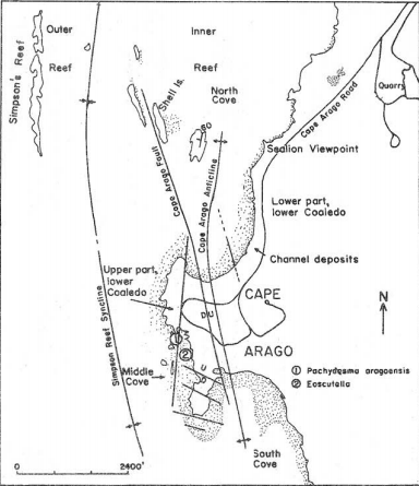 Outside The Interzone: Aug 4, 2013
