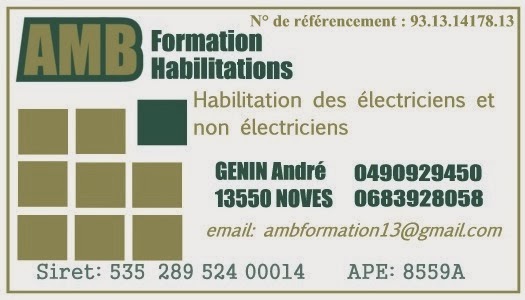 AMB Formation Habilitations: CARTE DE VISITE ET LOGO