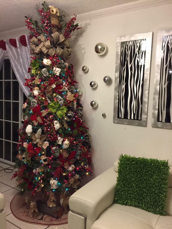 Some Gorgeous Christmas Trees From Puerto Rico