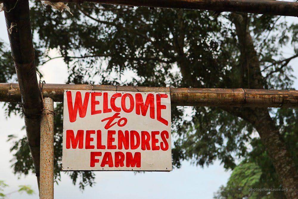 Melendres Farm || Antipolo, Rizal
