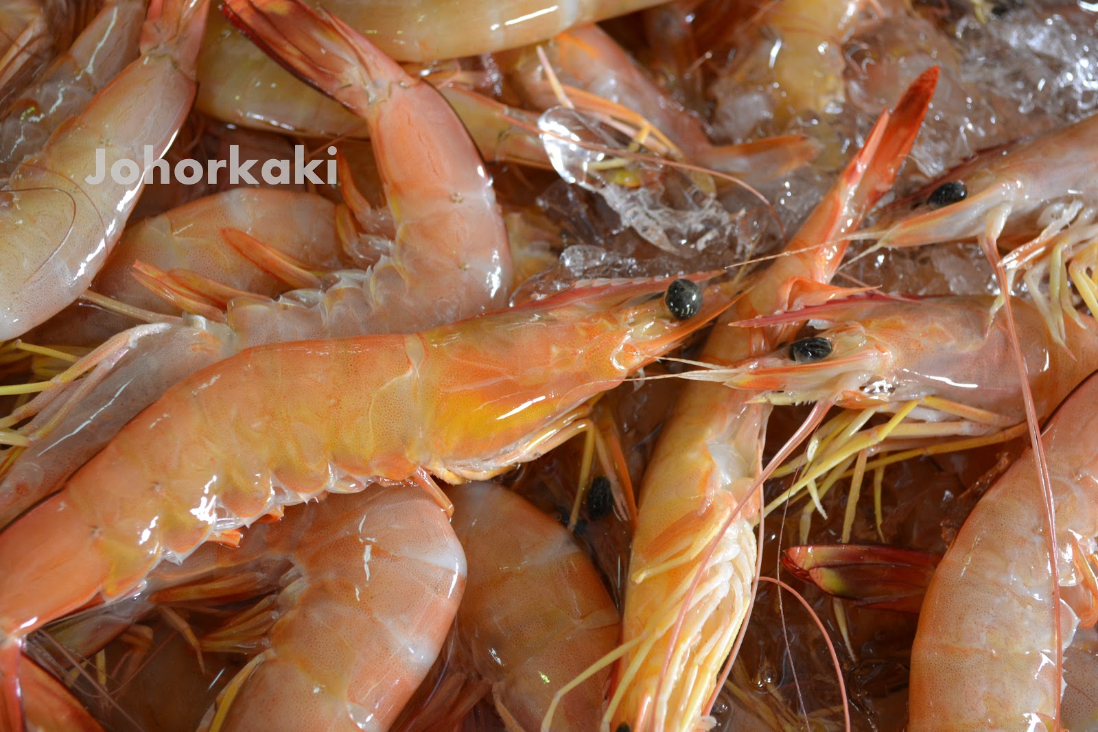 Pontian Wholesale Fish Market Update 2018 |Tony Johor Kaki Travels for ...