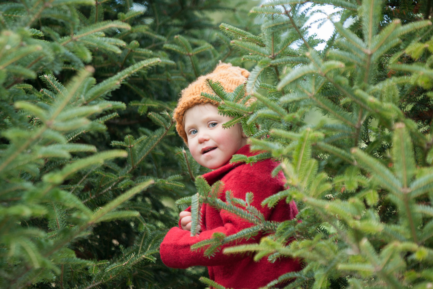 Wayfaring Wanderer: 11 Tips for Taking Awesome Family Holiday Photos w ...