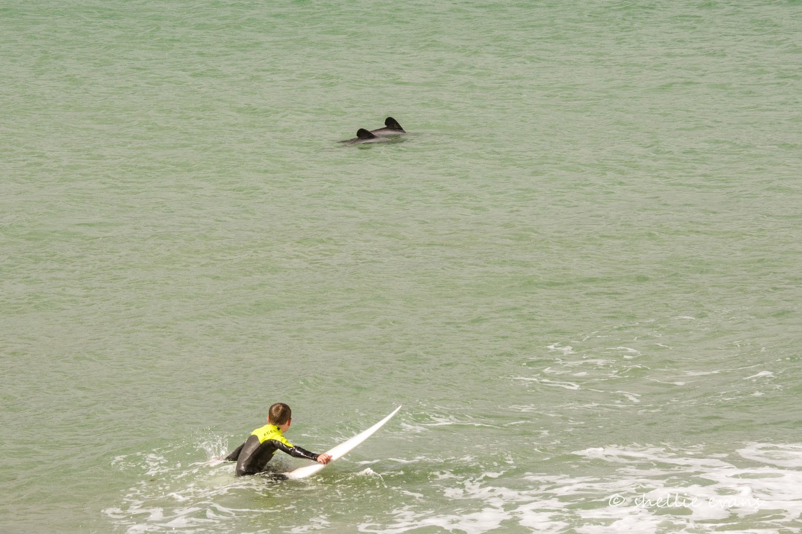 Two Go Tiki Touring: January 2017