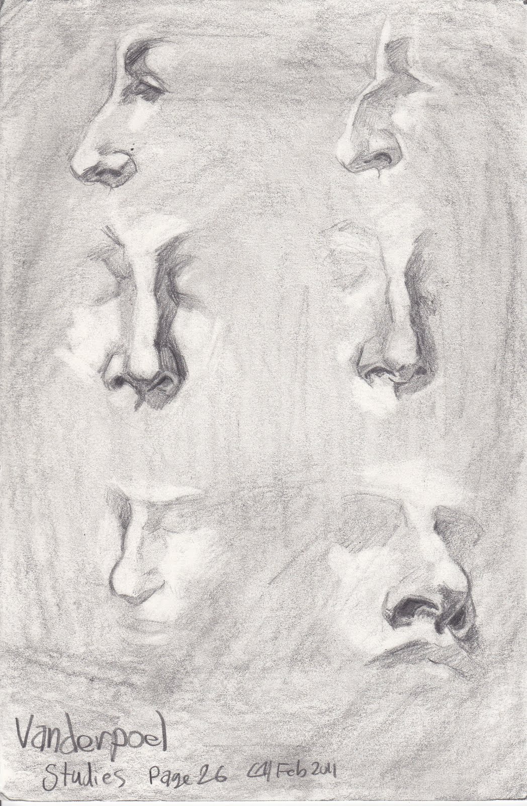 Gabriel Hunt: John H. Vanderpoel studies (noses)