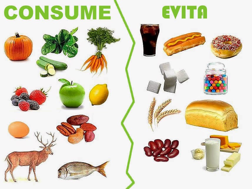 Dieta Paleolítica, ¿qué es la paleodieta? | Dieta Paleolítica - PaleoDieta