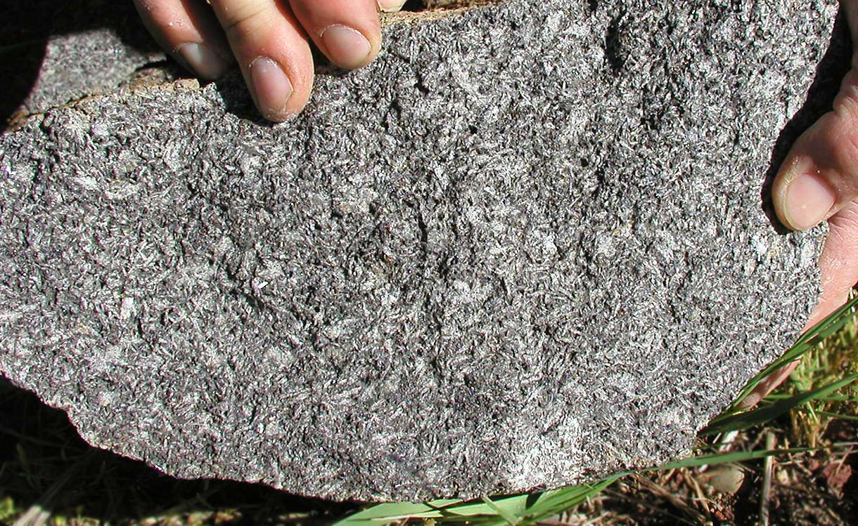 Graphic Firing Table: Diktytaxitic