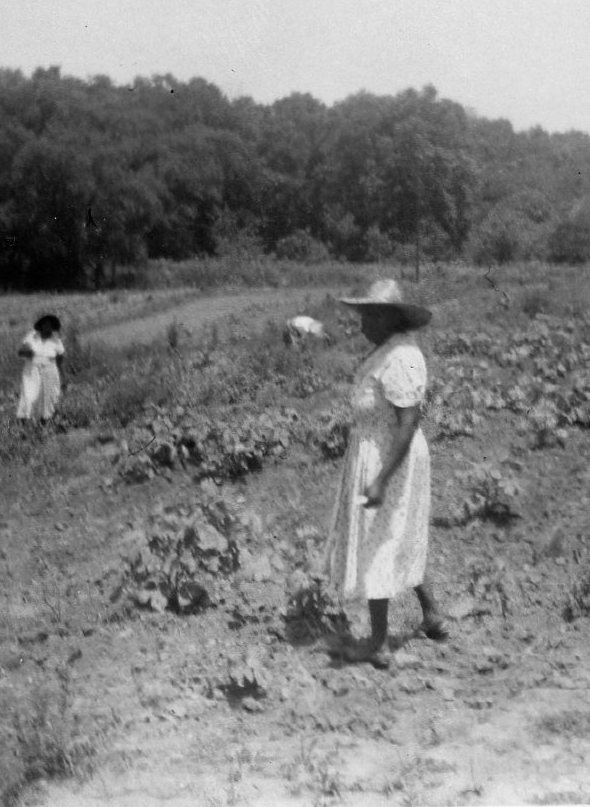 The New Santa Fe Trailer: Richest Black Girl in America: Redefining ...