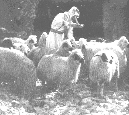 Timothy McKeown: 20. The Sanctification of the Spirit: "Thou anointest ...