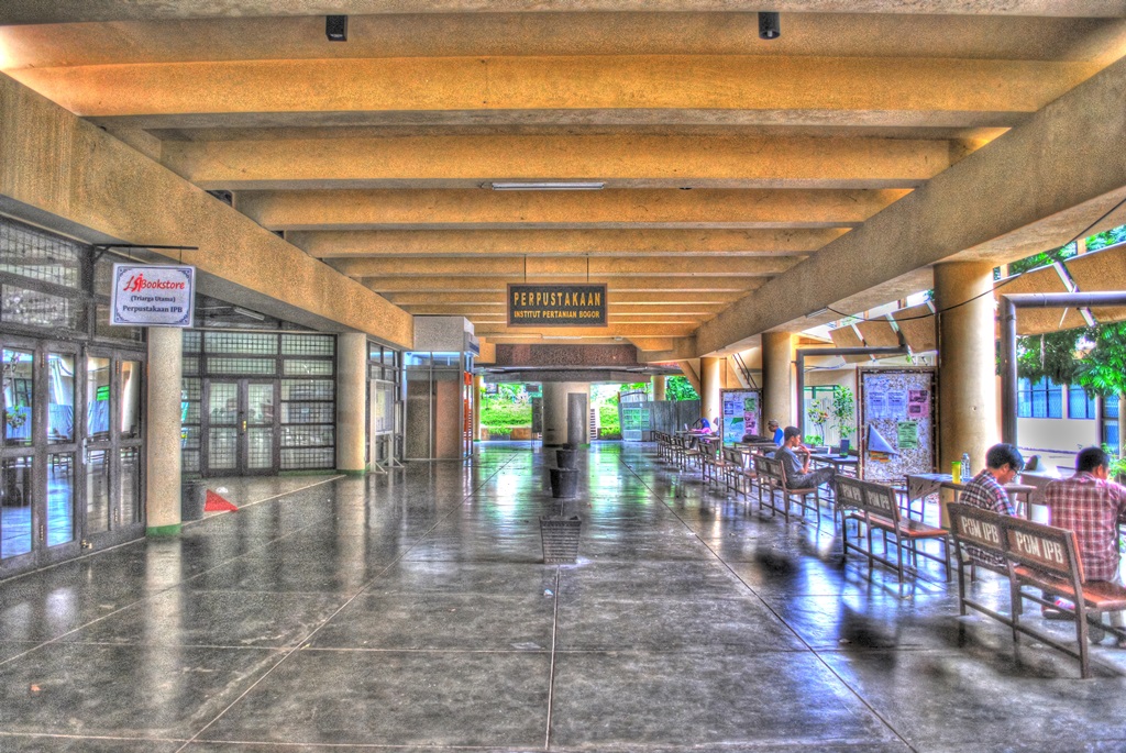 Tukang Ketik: Foto Perpustakaan LSI IPB