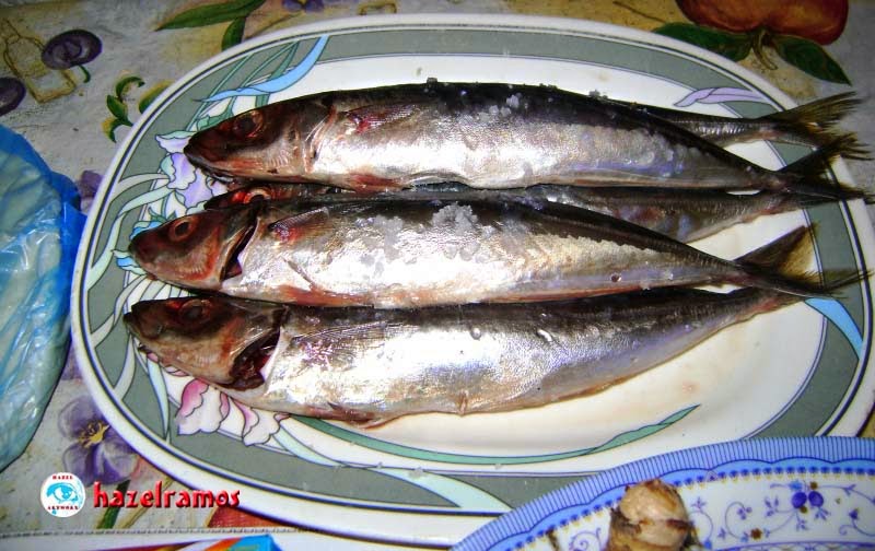 The Big Fat White Guy: How to Make Rellenong Bangus (Philippine Stuffed ...