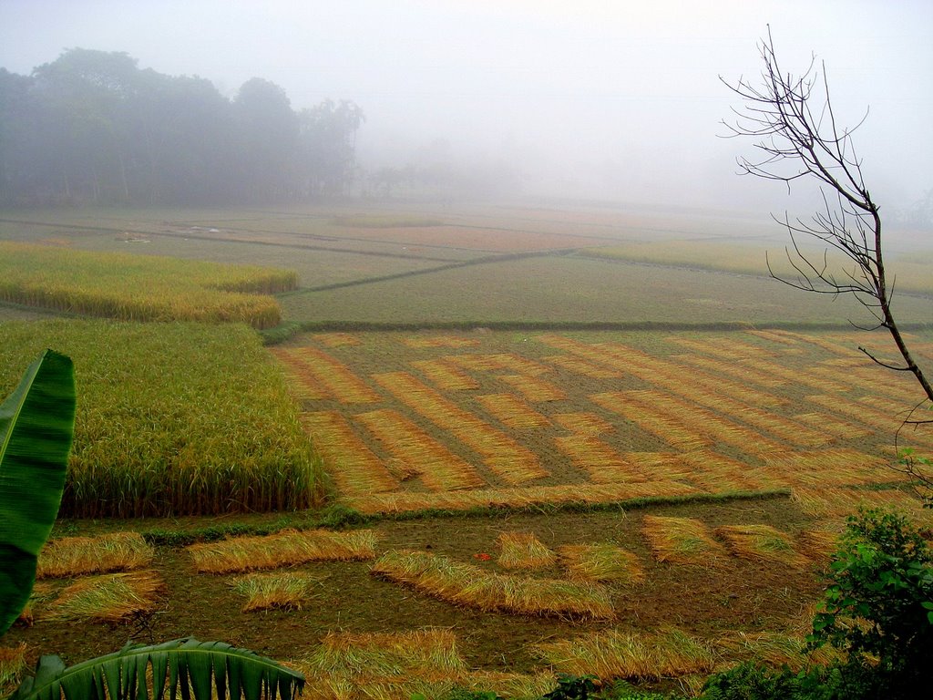 EXPLORE THE WORLD: Brahmanbaria, Bangladesh; Image Gallery