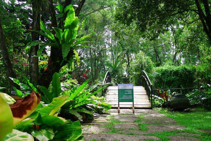 Make It Davao: Malagos Garden Resort