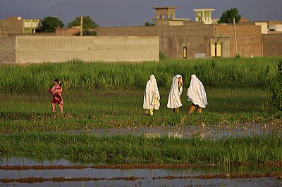 SULEHRI`S SECRETARIAT: NAROWAL ,PUNJAB,PAKISTAN