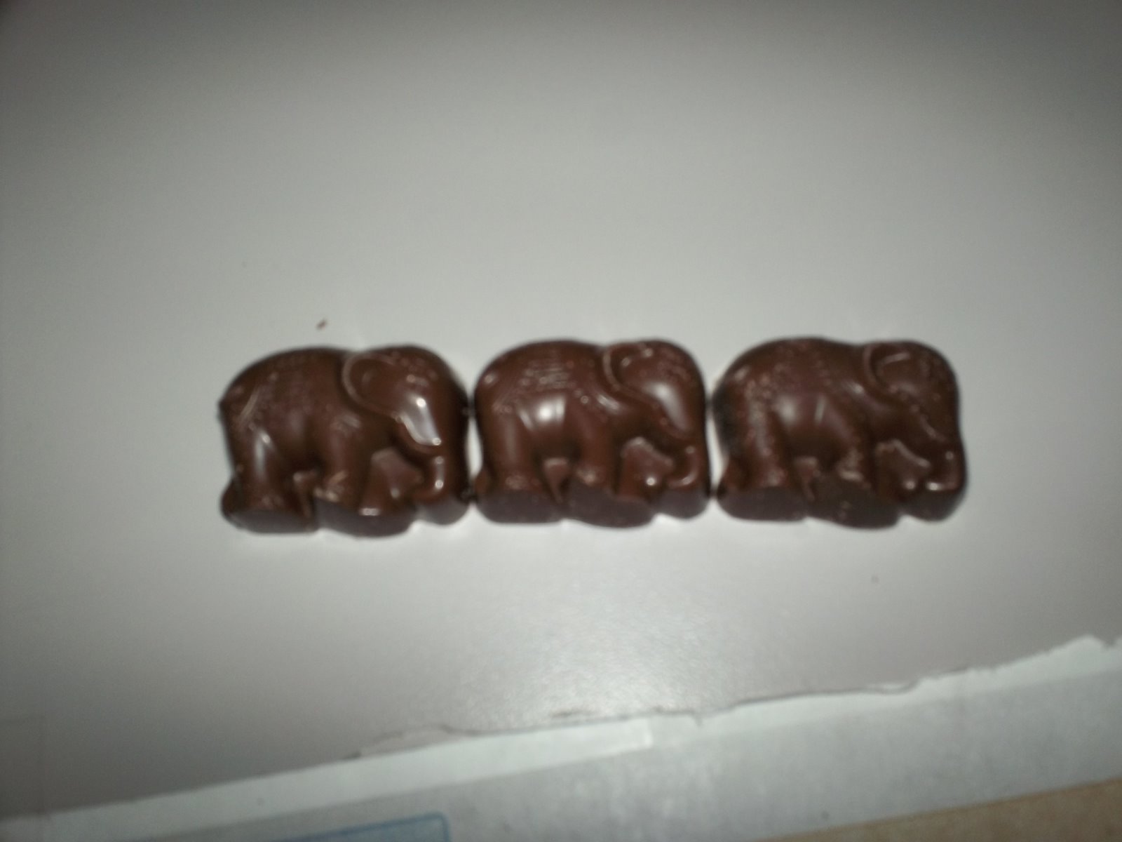 antarctica.kuotiong.net: Chocolate Covered Elephants