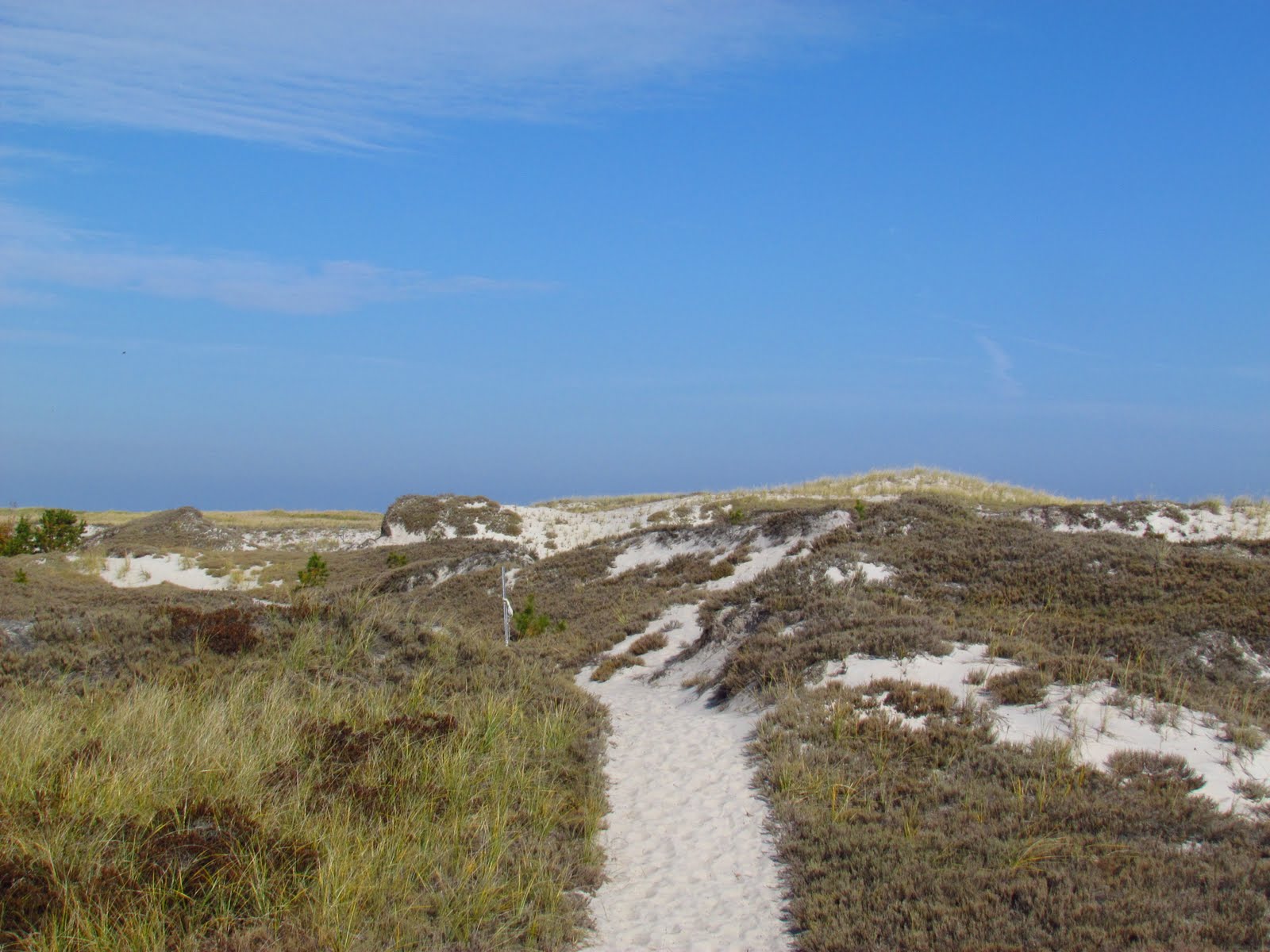 Little Owl Arts: the great cranberry adventure: part 1