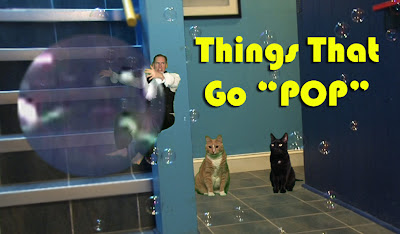 Henson's Hell: Things That Go "POP" -- Cat Clips #244