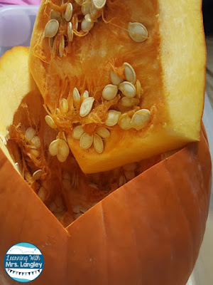 Pumpkin Dissection in the Classroom | Learning with Mrs. Langley