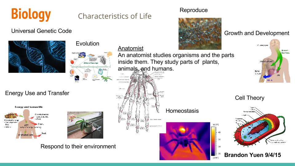 Brandon Yuen Biology: Characteristics of Life