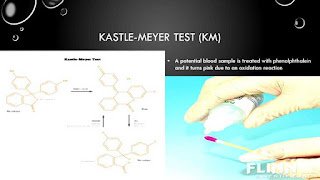 Kastle-Meyer test