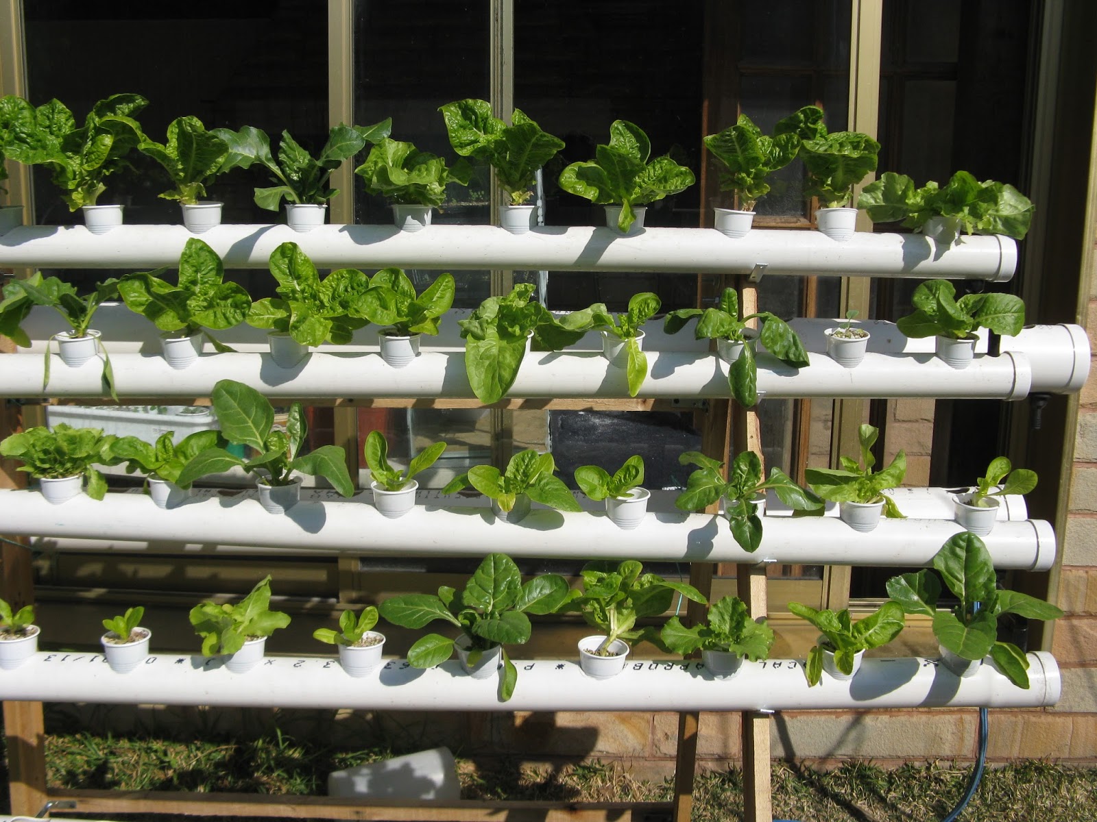 Hidroponia Intentos: Caños PVC