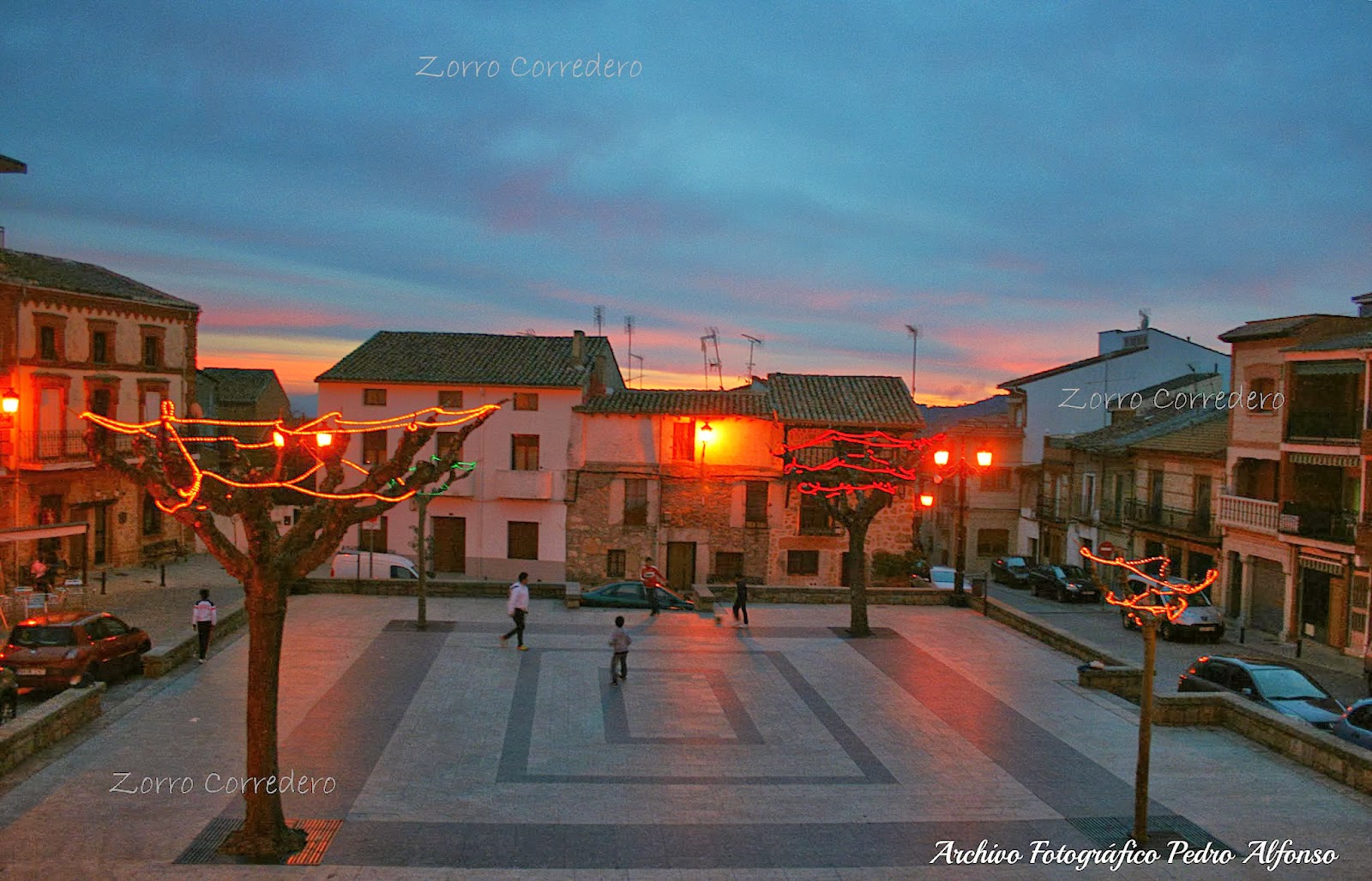 Zorro Corredero de Cadalso de los Vidrios: Un paseo nocturno por ...