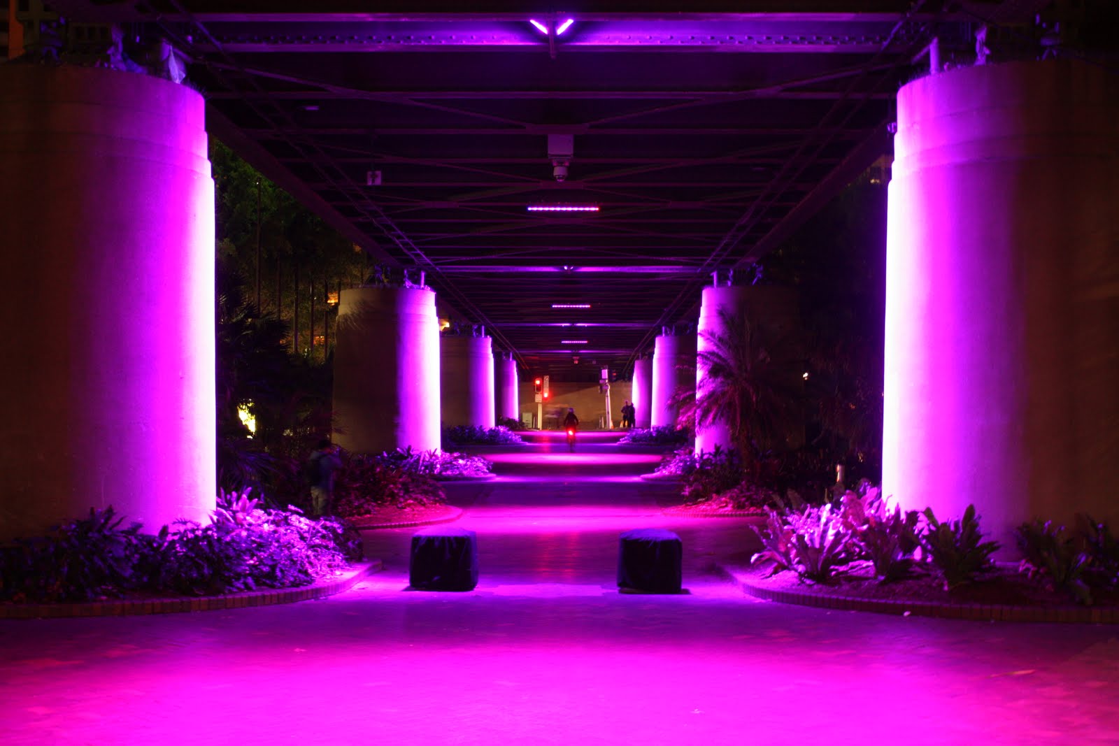 Sydney - City and Suburbs: Circular Quay, Vivid Sydney, pylons and walkway