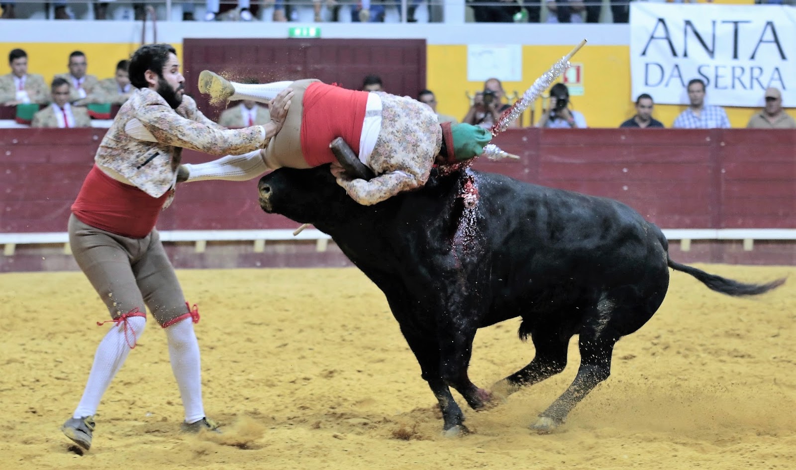 Temporada 2016 dos Forcados Amadores de Arronches ~ NOTICIAS DE ARRONCHES