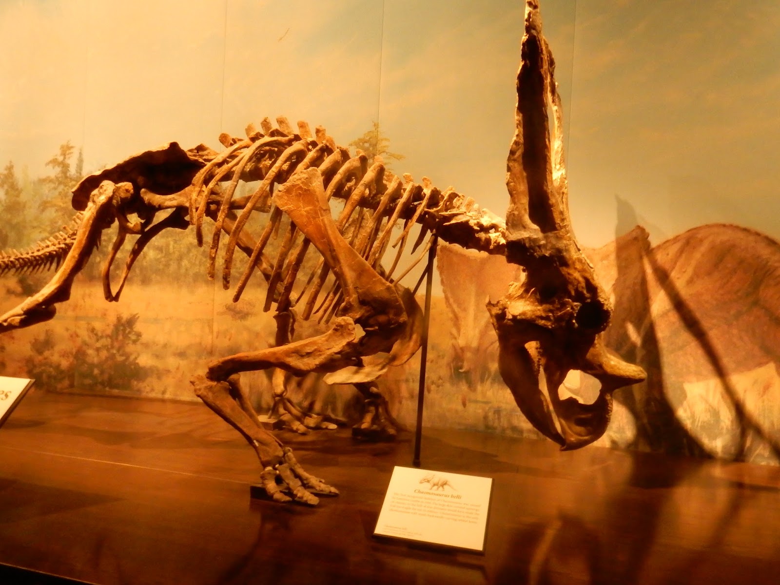 Raptormaniacs: Royal Tyrrell Museum