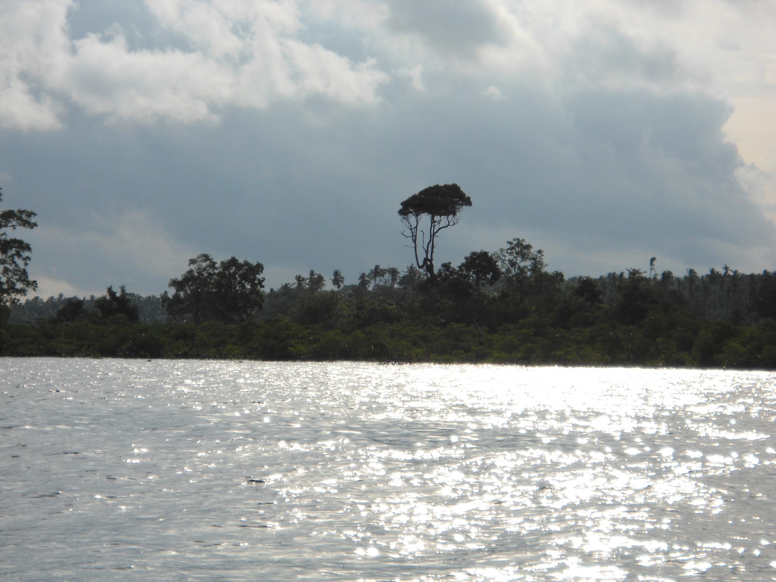 " 101 drifting ideas ": On my Way to Languyan, Tawi-Tawi