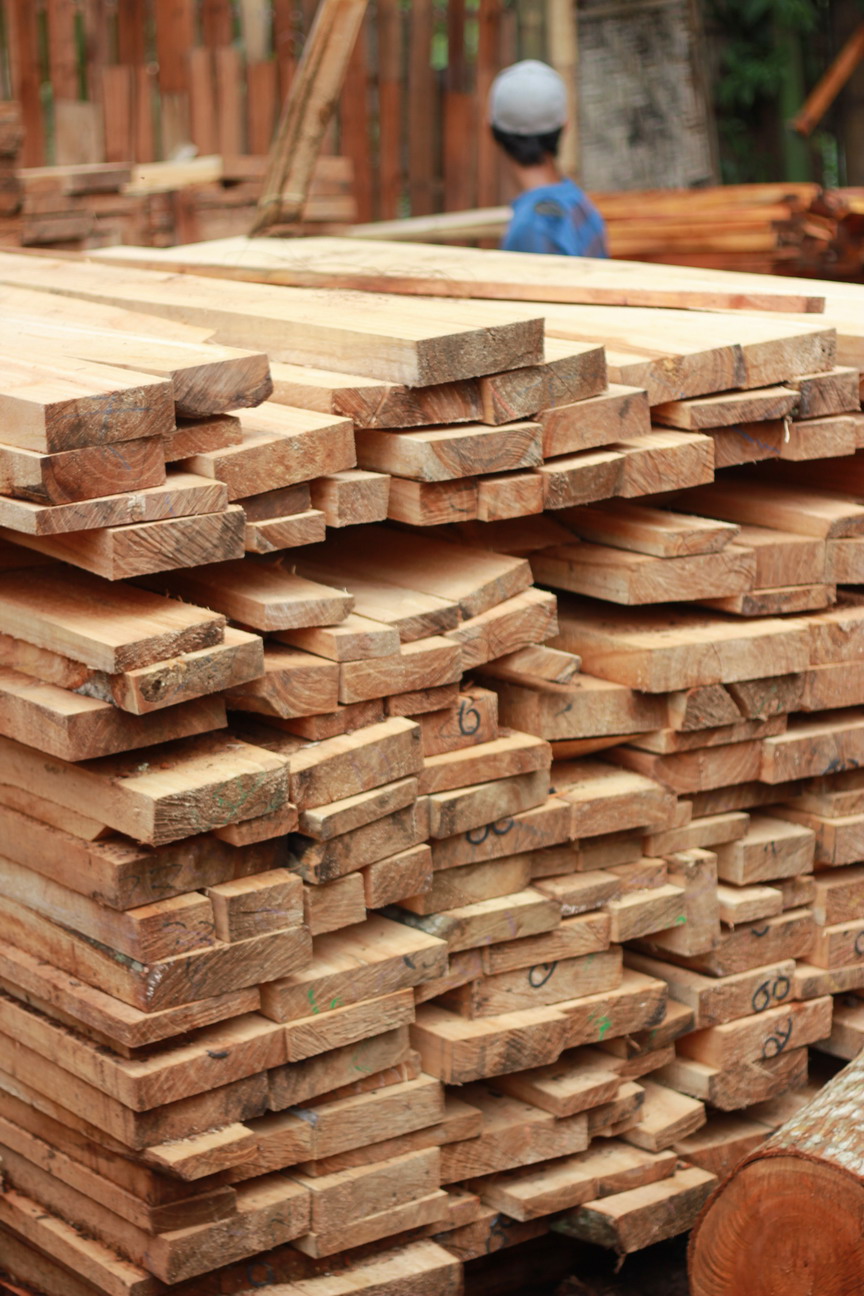 JUAL KAYU MAHONI DAN MINDI