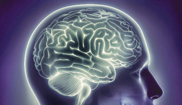 Do Brain Games Really Help Prevent Dementia Alzheimer s Reading Room