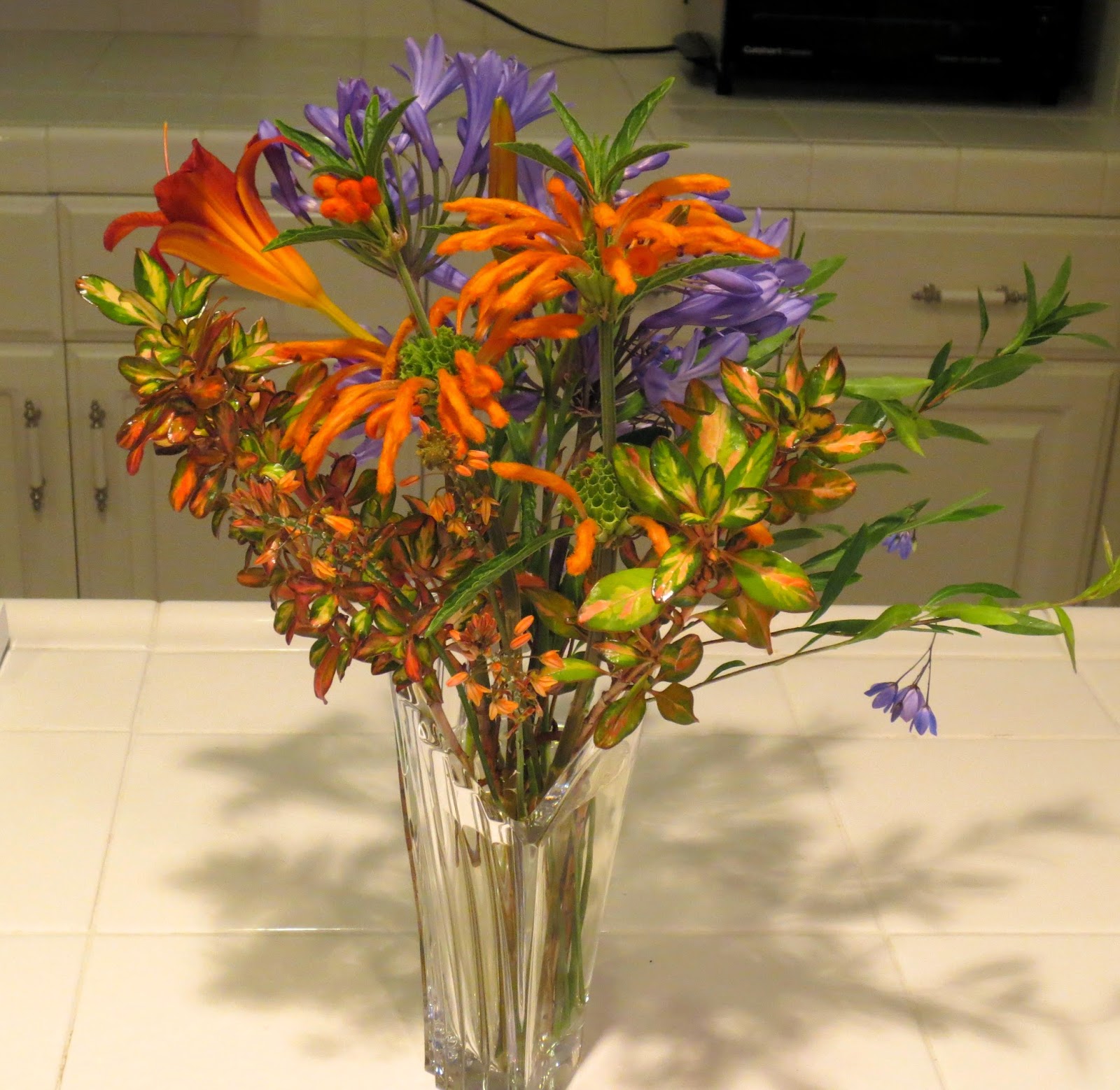 Late to the Garden Party: In a Vase on Monday: Fuzzy Flowers