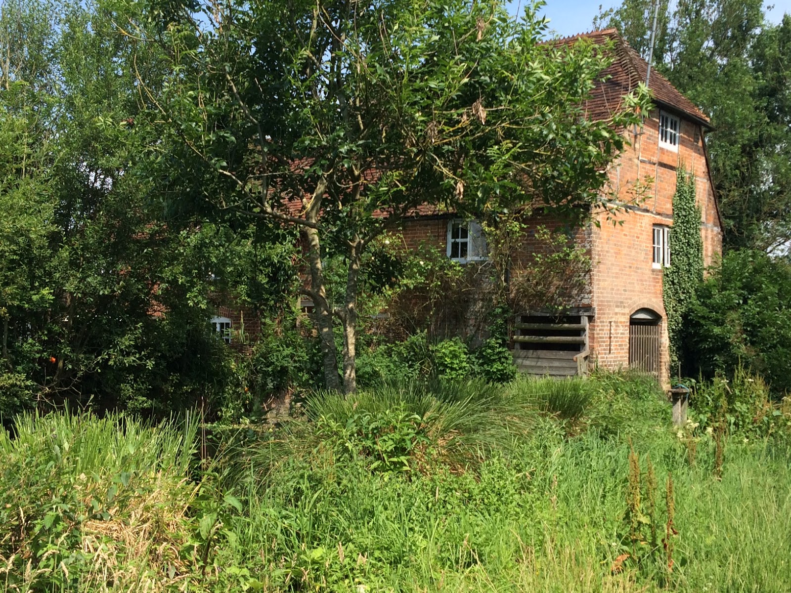 3 Castles Path Ramblings: Greywell to Ellisfield