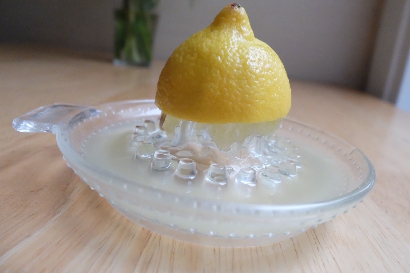 Sloe Gin & Lemon Fizz Cocktail - Raw Rhubarb - Fit Food and Recipes