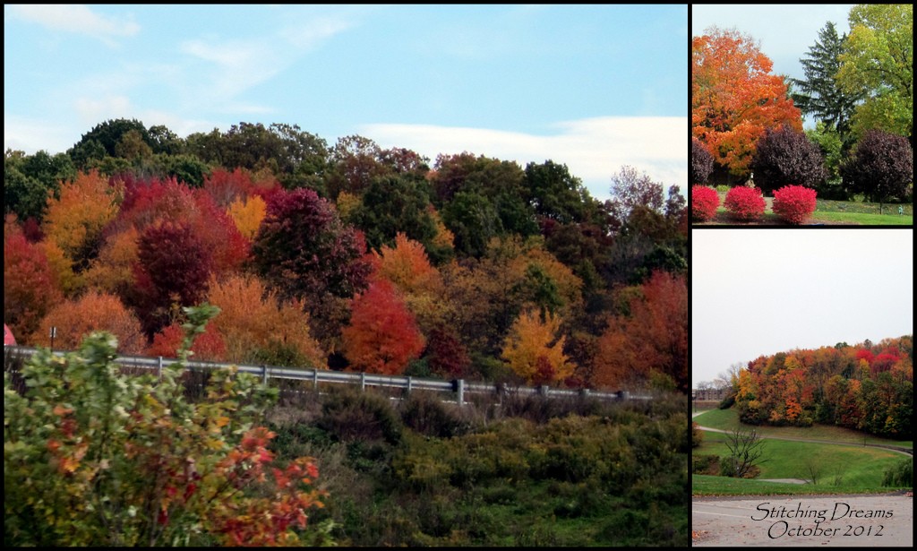Stitching Dreams: Hope you like black cats!!