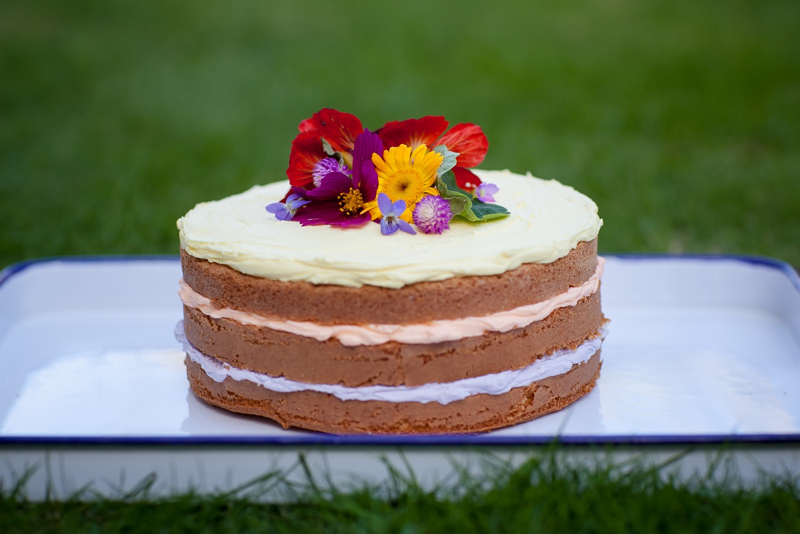 Spongedrop: Flavours Column: Whisked Sponge