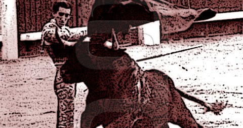 El toro que mató a Manolete ~ Baena Digital