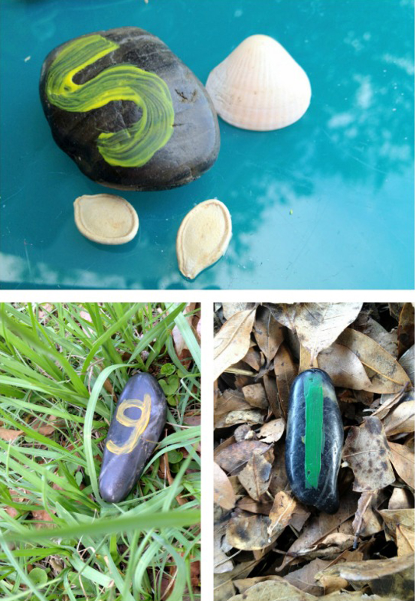 Go Green with 6 Eco Friendly Kid Activities: Fall - Adventures of Kids ...