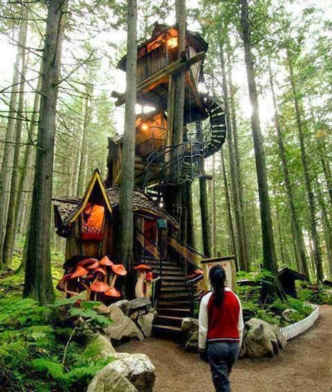 Dream Decorators: Multi Story Treehouse