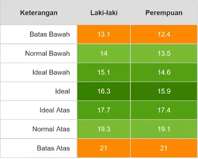Berat Tubuh & Tinggi Anak Usia Satu Tahun Empat Bulan Pria & Perempuan ...