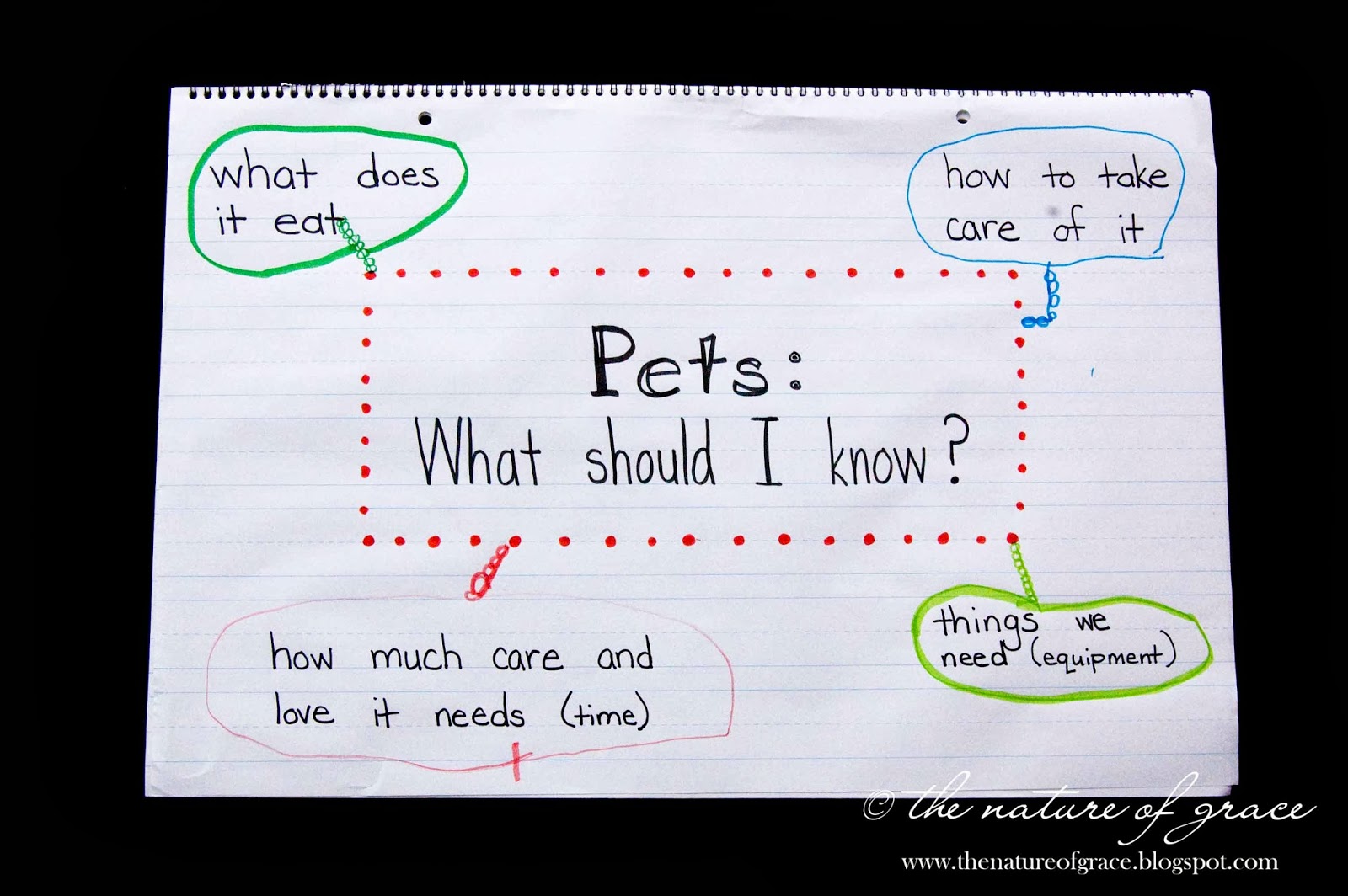 The Nature of Grace: September 2013