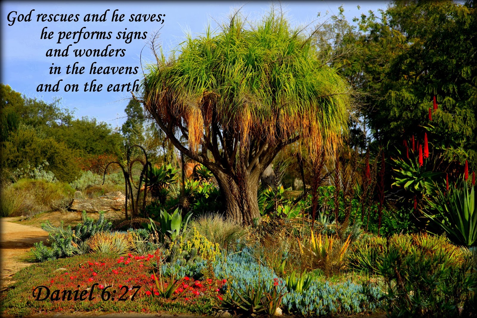 God rescues and he saves