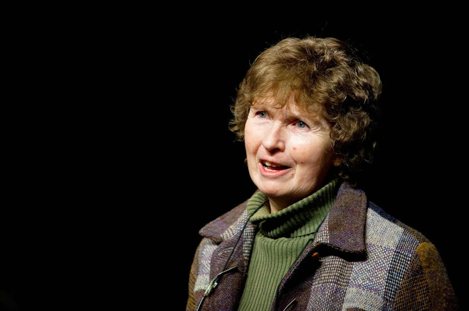 Smaointe Fánacha Aonghusa: Imbolc 2014: Biddy Jenkinson: Léigiúin Filí